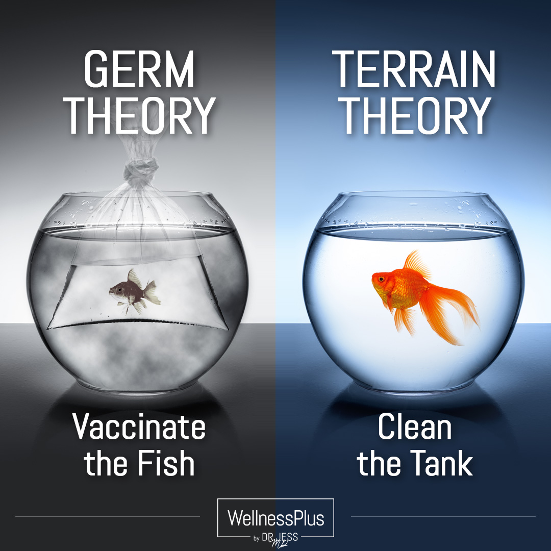 Germ Theory vs Terrain Theory - WellnessPlus by Dr. Jess MD