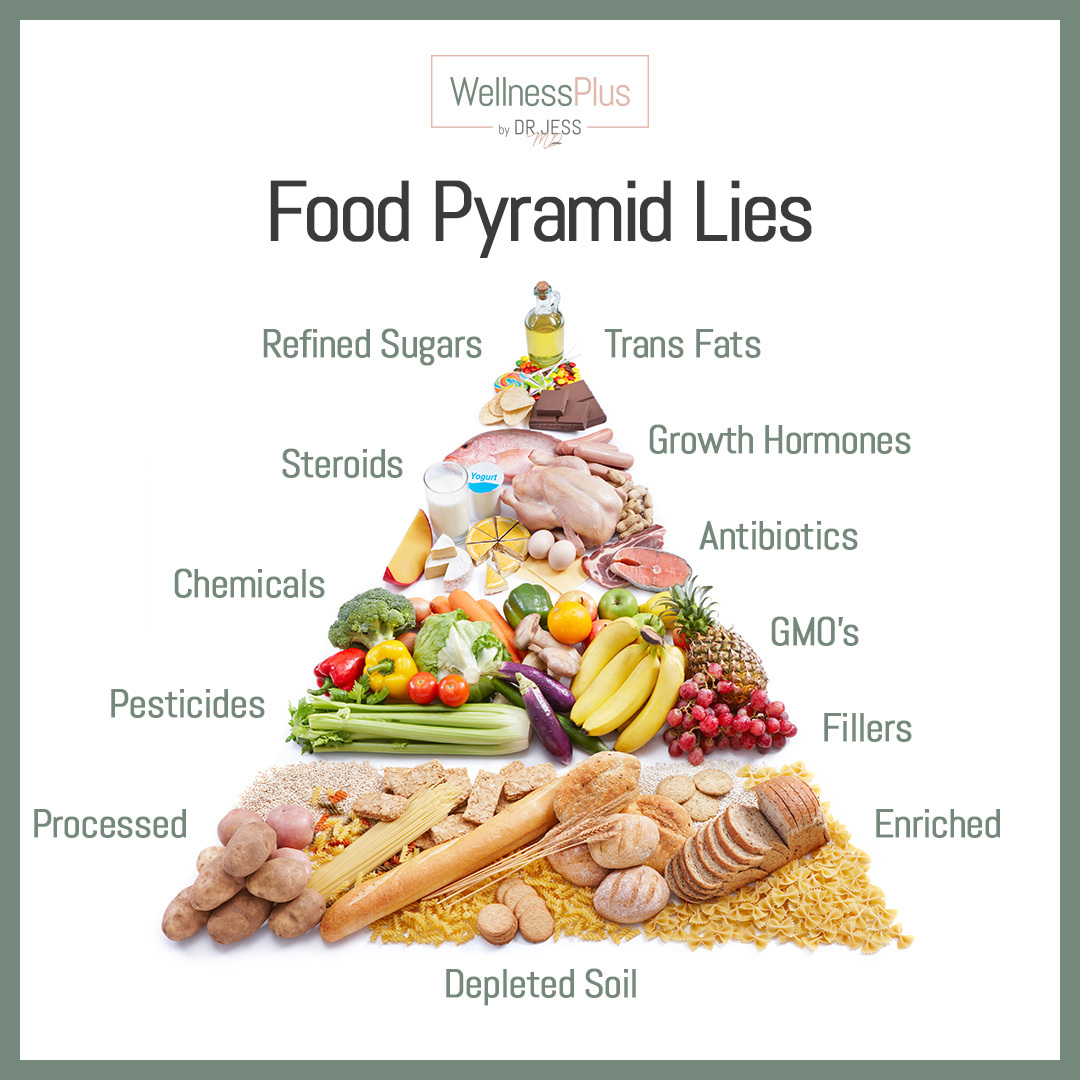 Food Pyramid Lies - WellnessPlus by Dr. Jess MD