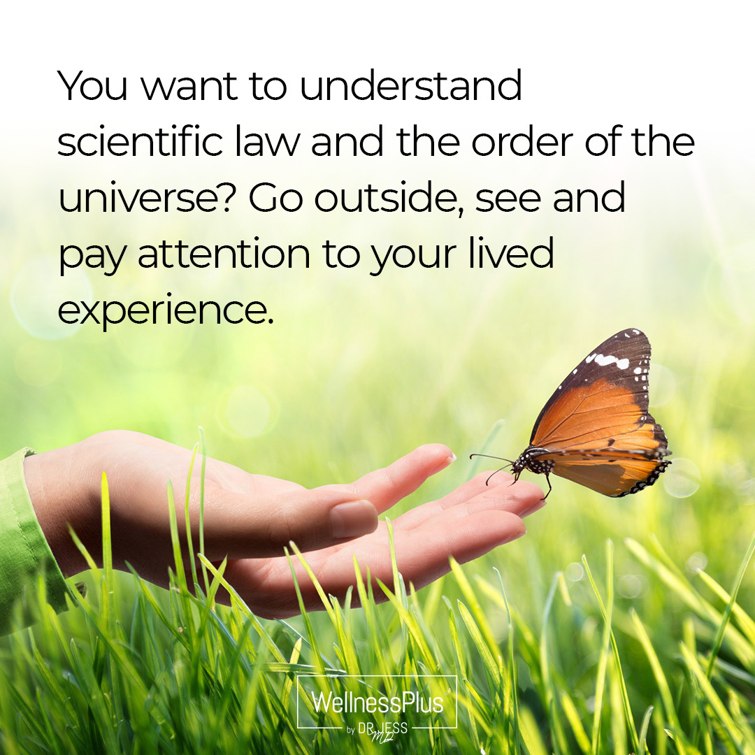 You want to understand scientific law and the order of the universe? Go ...