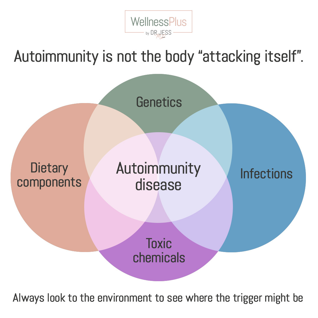 Autoimmunity is not the body attacking itself - WellnessPlus by Dr. Jess MD