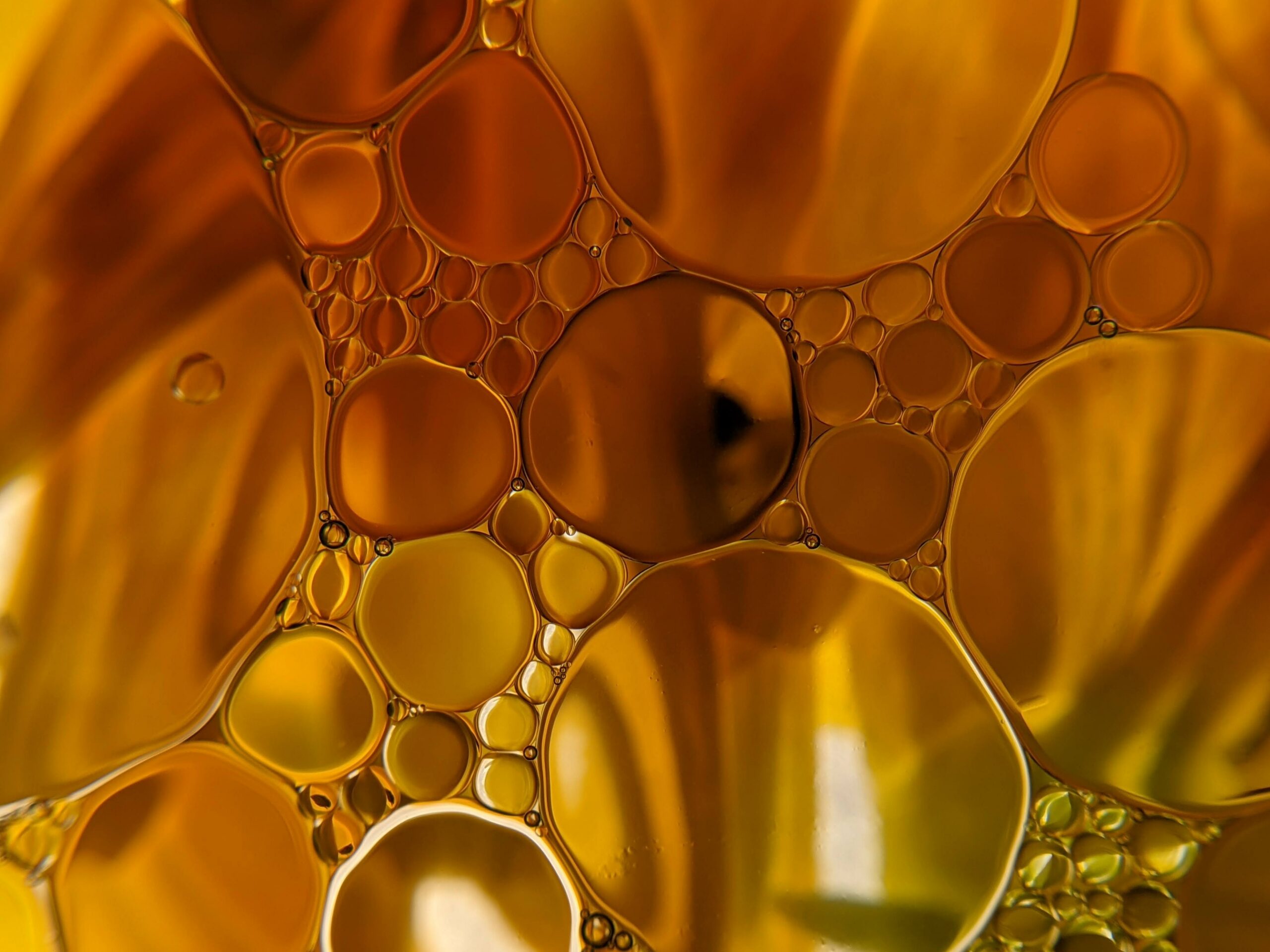 The Health Dangers of Polyunsaturated Fatty Acids (PUFAs ...